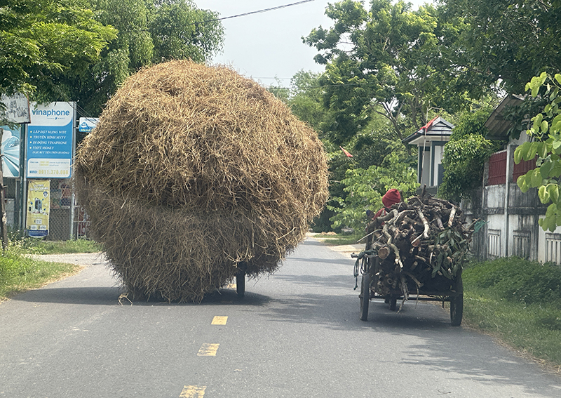 "Cây" rơm di động!? - Báo Quảng Bình điện tử